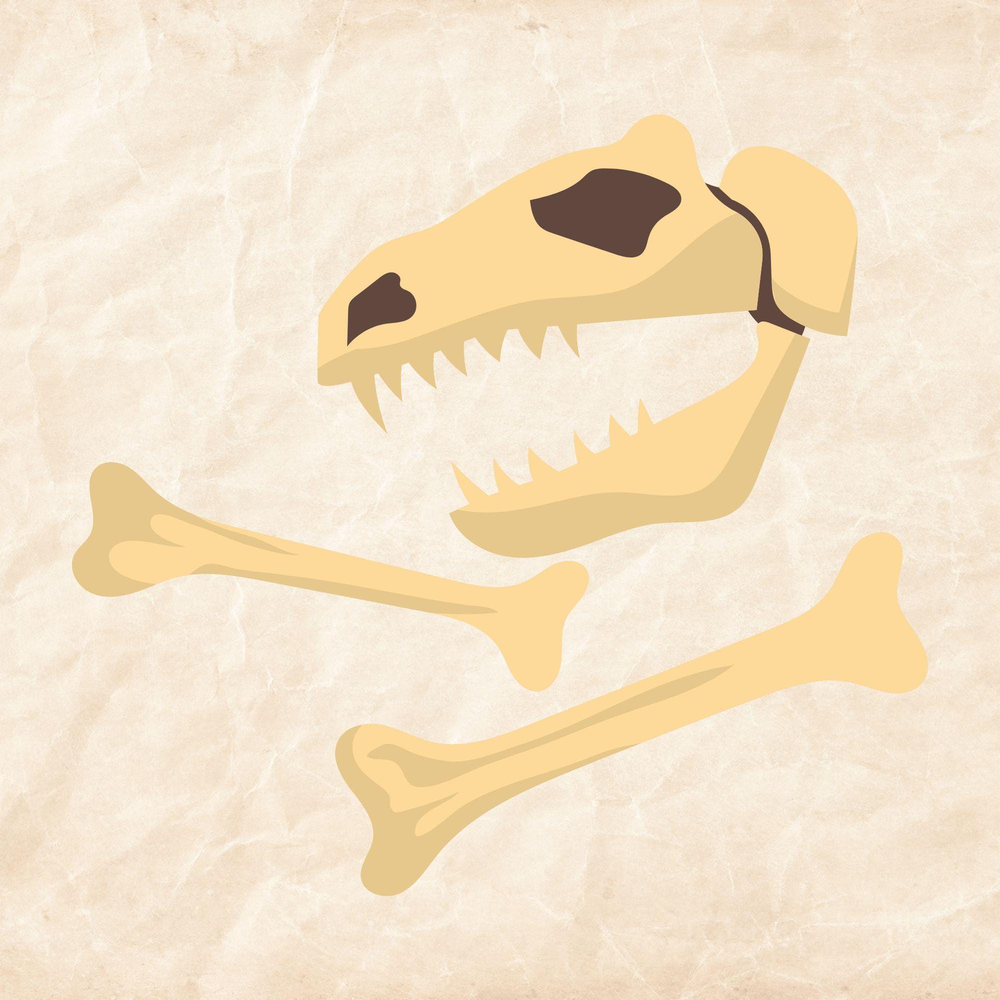 Dinosaur Fossil SVG Bundle: T-rex, Triceratops Clipart (digital ...