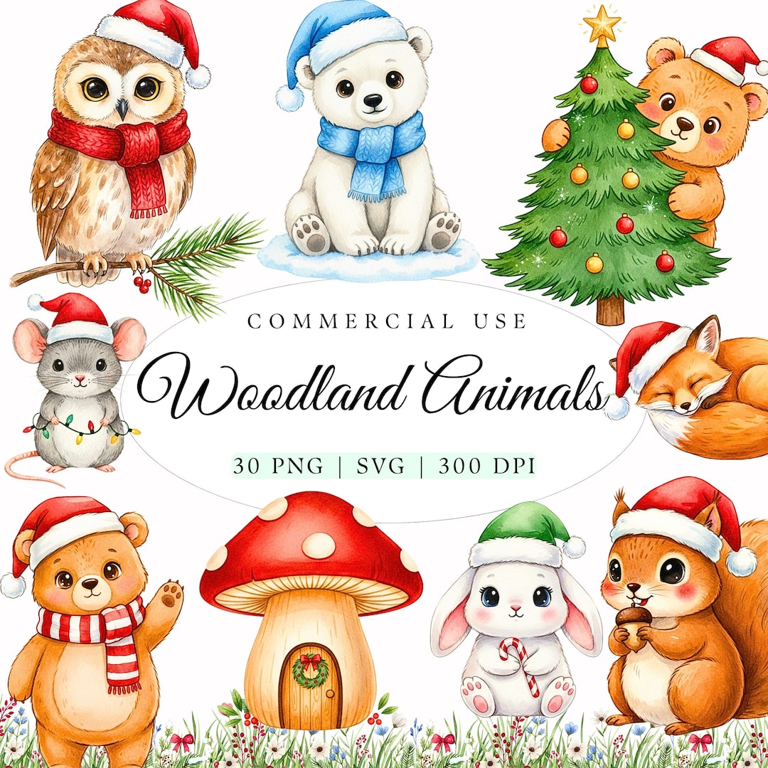 Christmas Woodland Clipart, Christmas Animals Png, Winter Animals, Cute ...