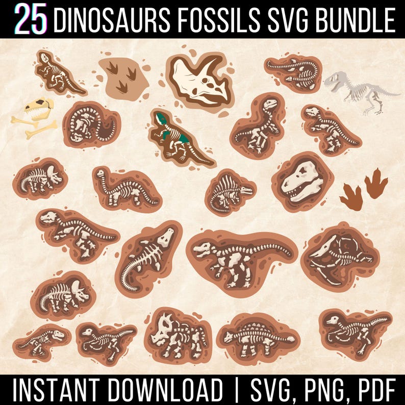Dinosaur Fossil Svg Bundle | 25 Png Silhouette Cricut & Laser Cut Files ...