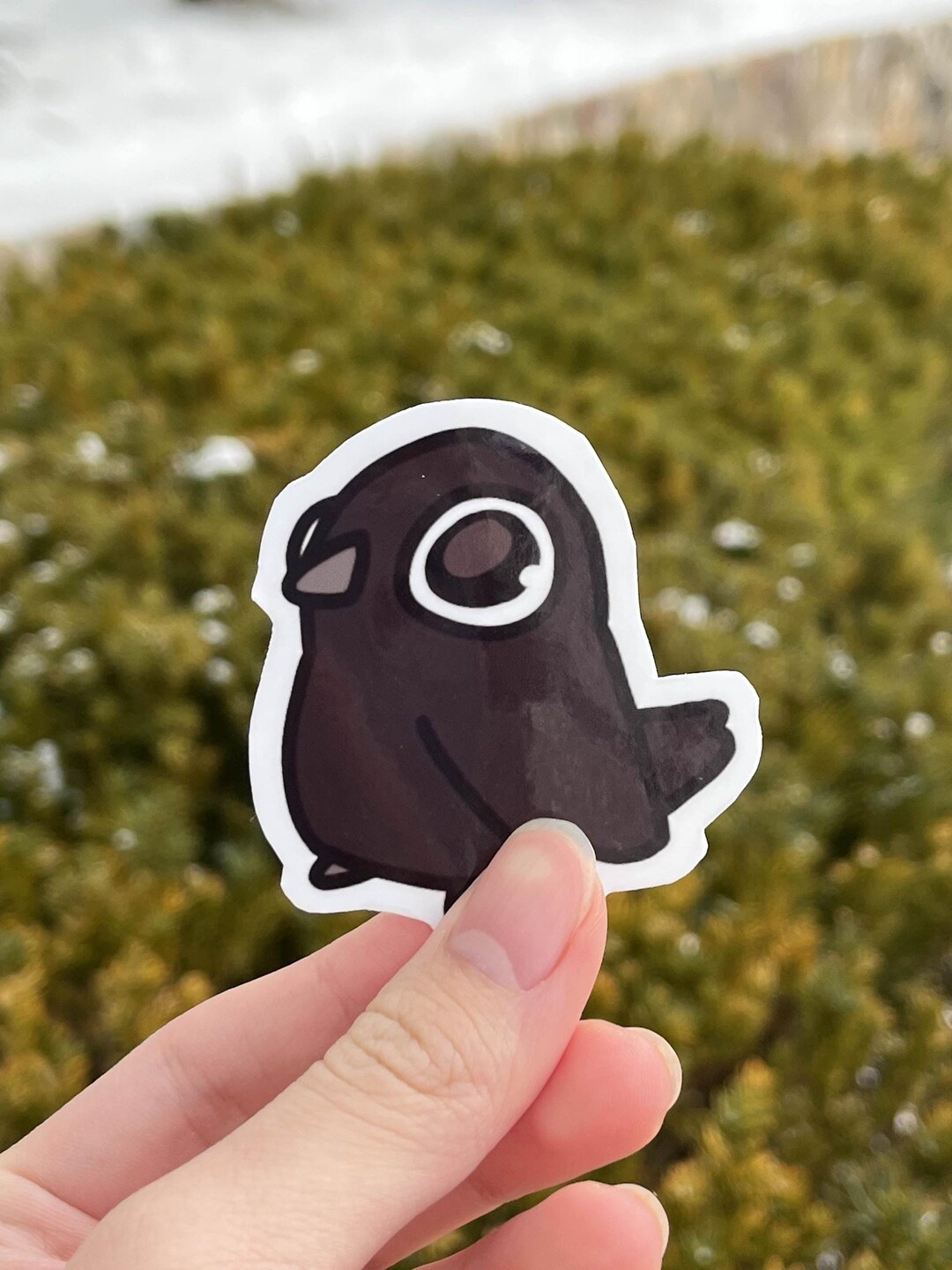 Cute Plumpy Crow Sticker Pack 4pcs - Etsy