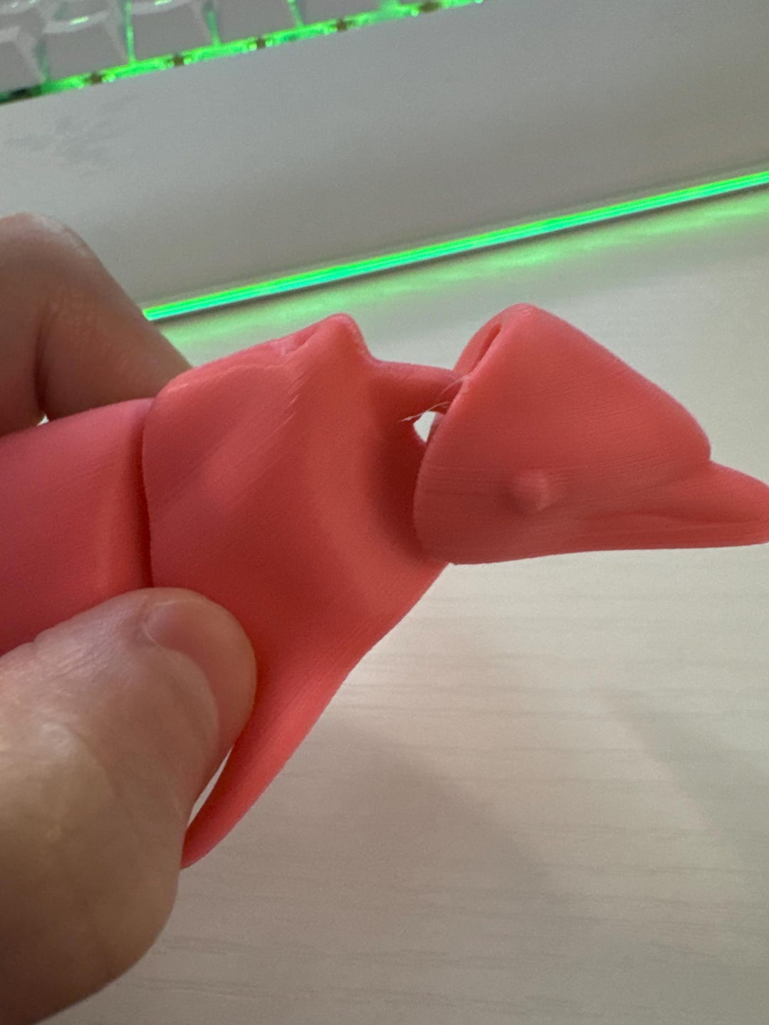 Dolphin Flex Fidget Toy - Etsy