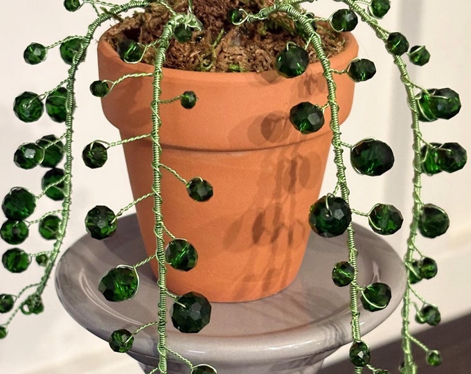 String of Pearls, Beaded Succulent Suncatcher Plant, Forever Succulent, Crystal Decor, Plant ...