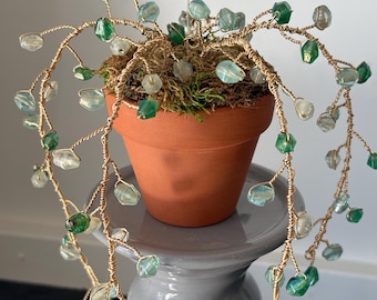 Beaded Cherry Blossom Suncatcher, Forever Succulent, String of Pearls, Crystal Decor, Plant ...