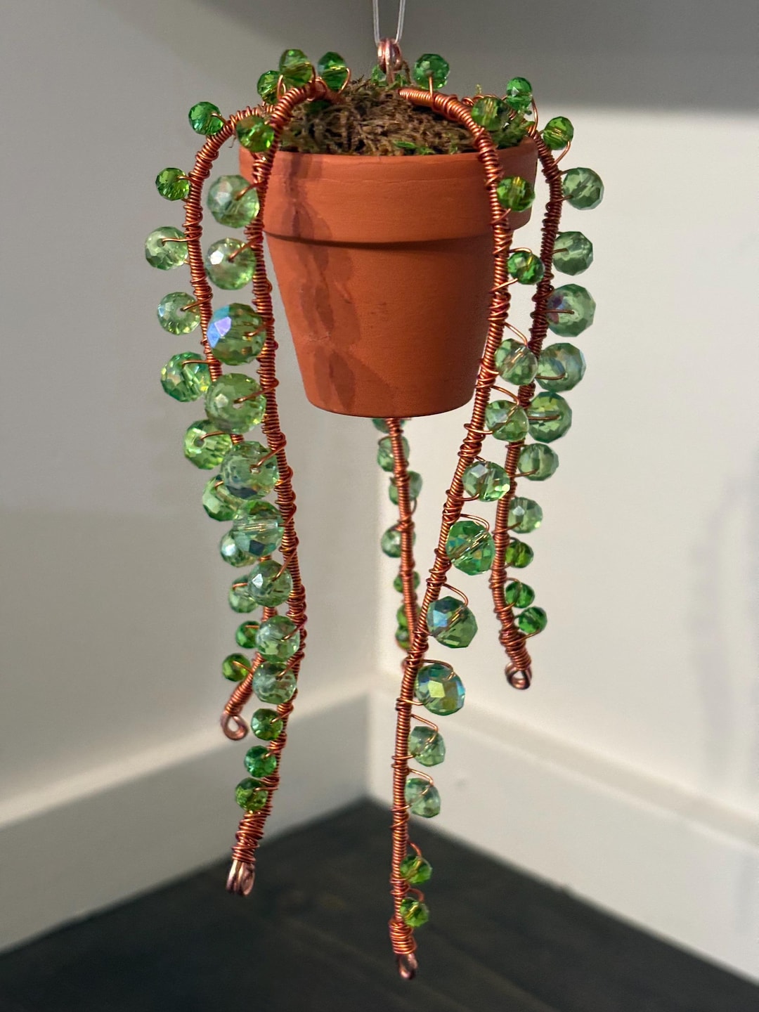 String of Pearls, Beaded Succulent Suncatcher Plant, Forever Succulent ...