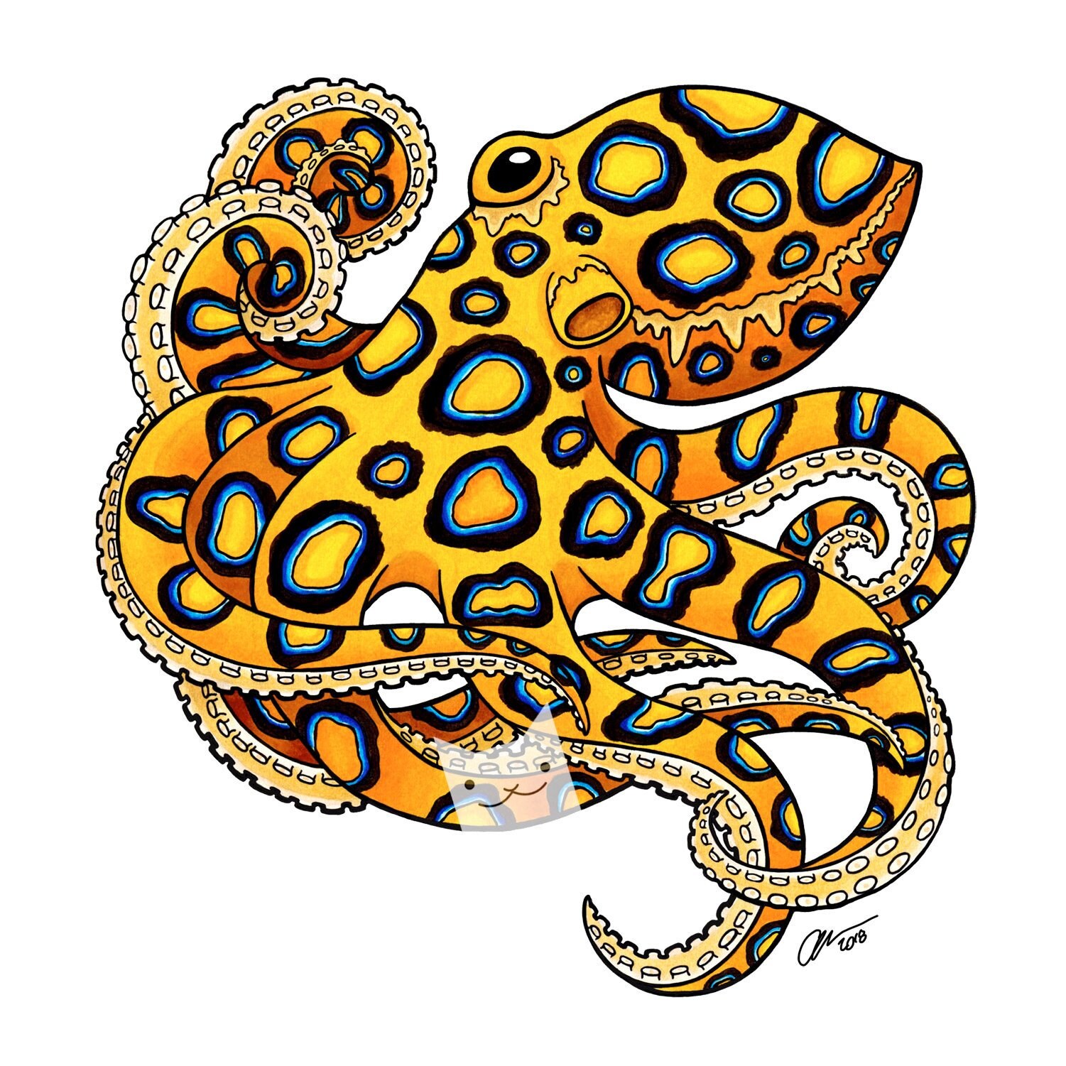 Blue Ringed Octopus Illustration Art Print 5x5 marine | Etsy Blue Ringed Octopus Illustration Art Print 5x5 marine | Etsy