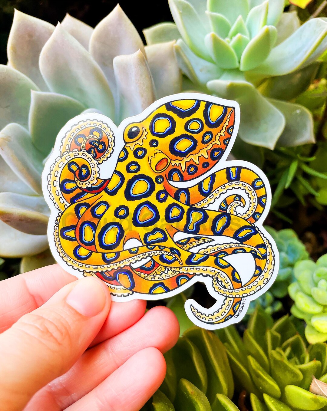 Blue Ringed Octopus - Die Cut Vinyl Sticker - Weather Resistant - UV ...
