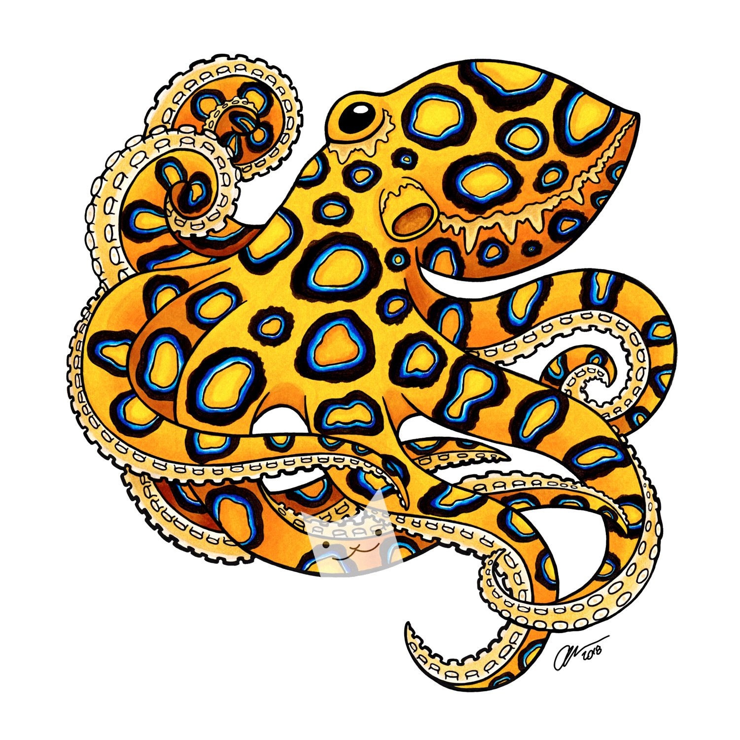 Blue Ringed Octopus Drawing