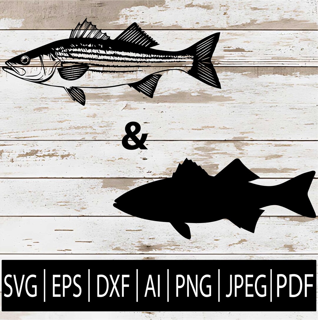 Striped Bass SVG - Striper Fish Clipart for Fishing Decor, Cricut ...