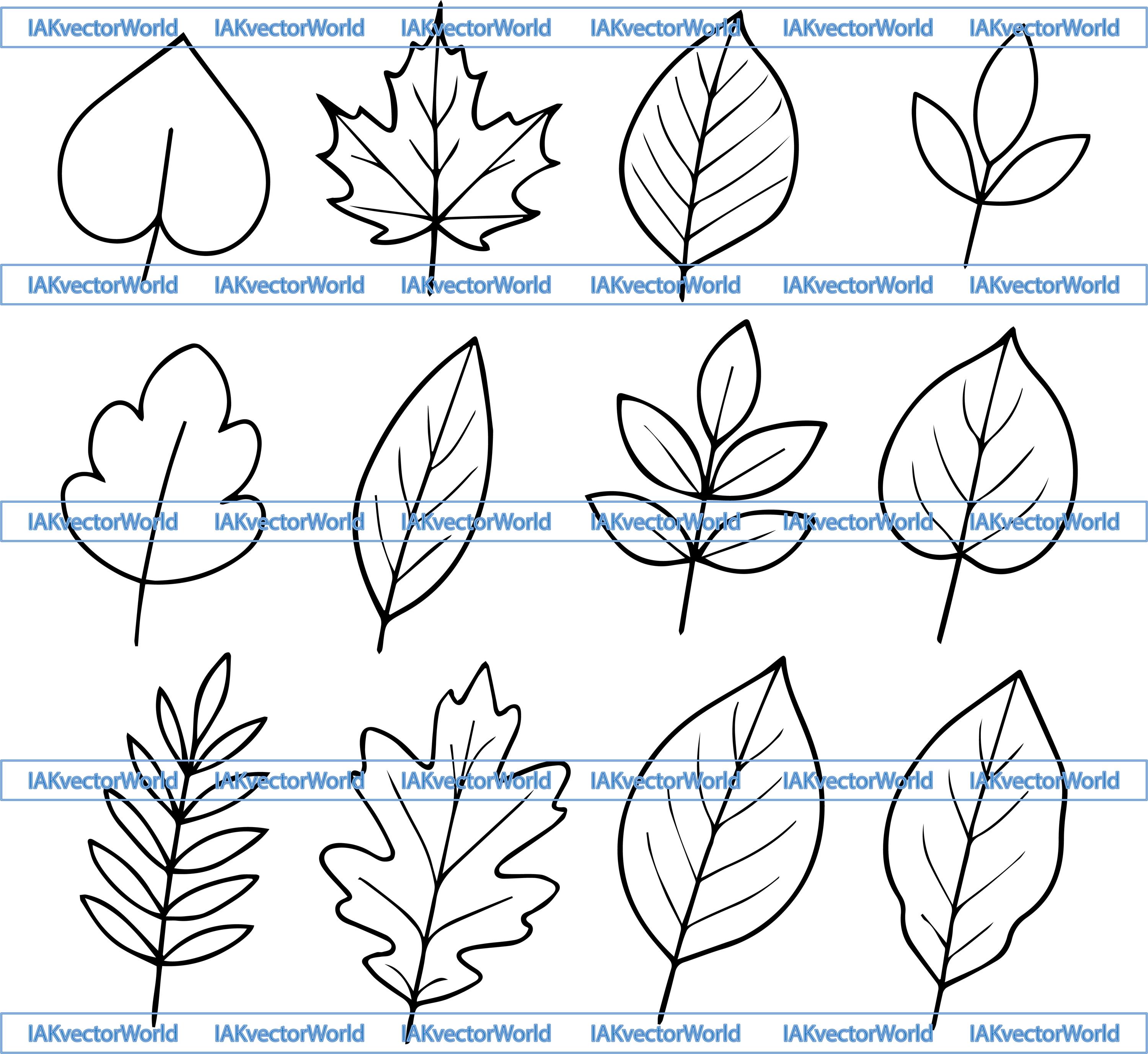 Leaf Leaves Outline SVG Bundle | Different Foliage Outline Designs ...