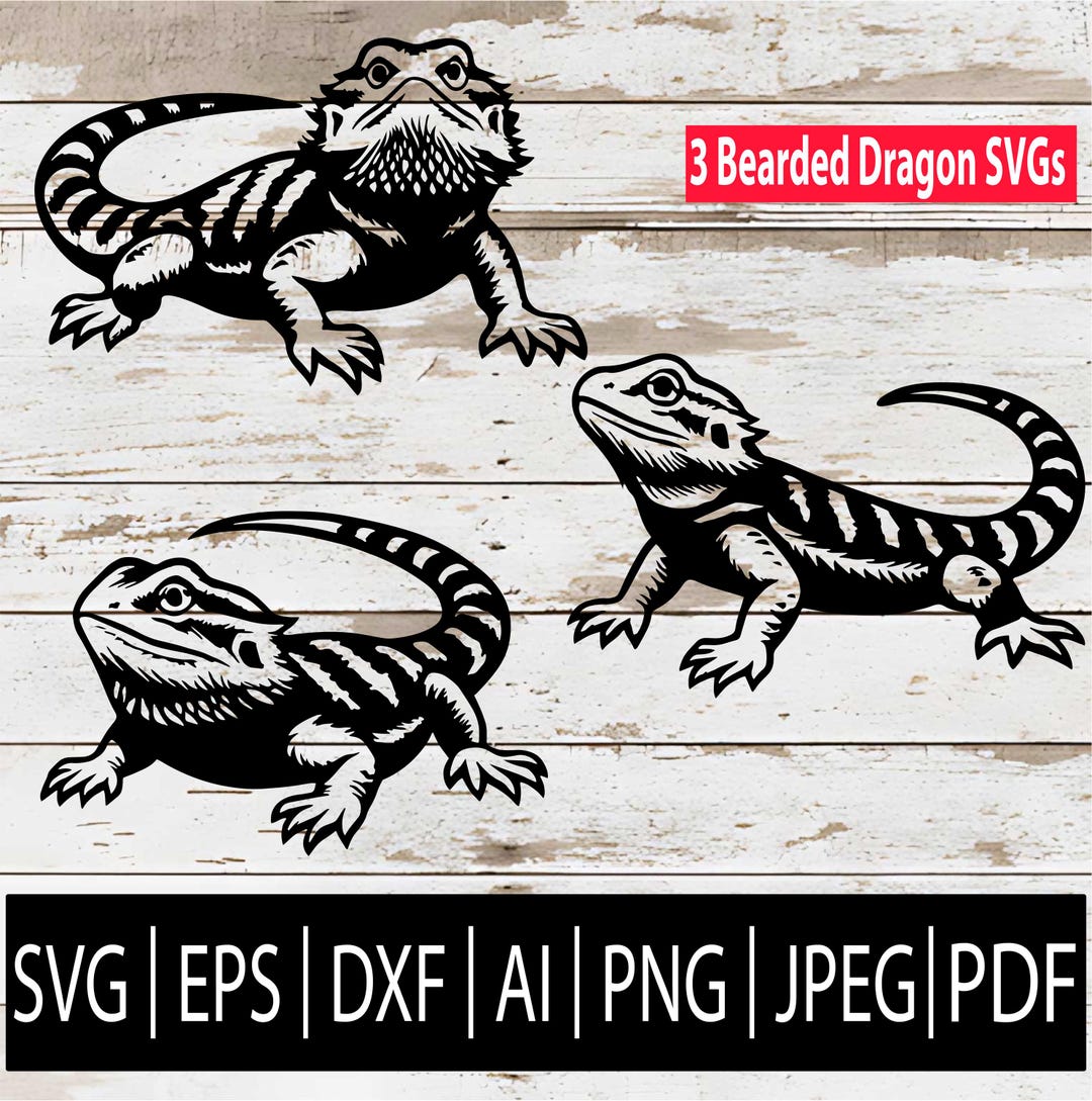 Bearded Dragon SVG Bundle | 3 Pogona Lizard Reptile Clipart for Cricut ...