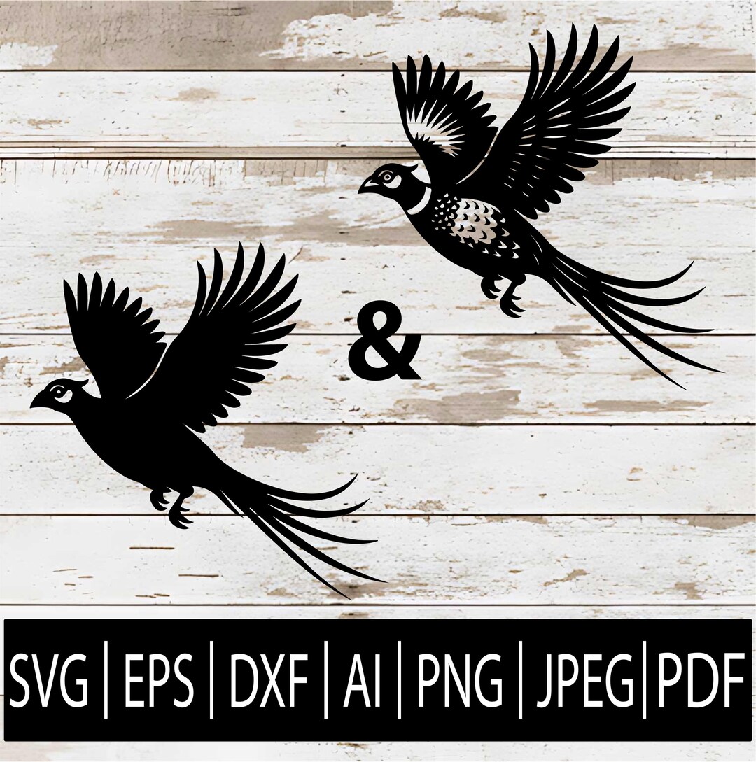 Flying Pheasant SVG Bundle | 2 Bird Designs – Detailed & Silhouette ...
