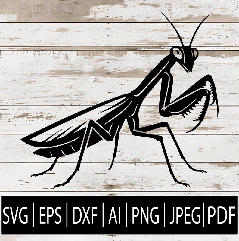 Praying Mantis SVG | Insect Bug Clipart for Cricut, Silhouette ...
