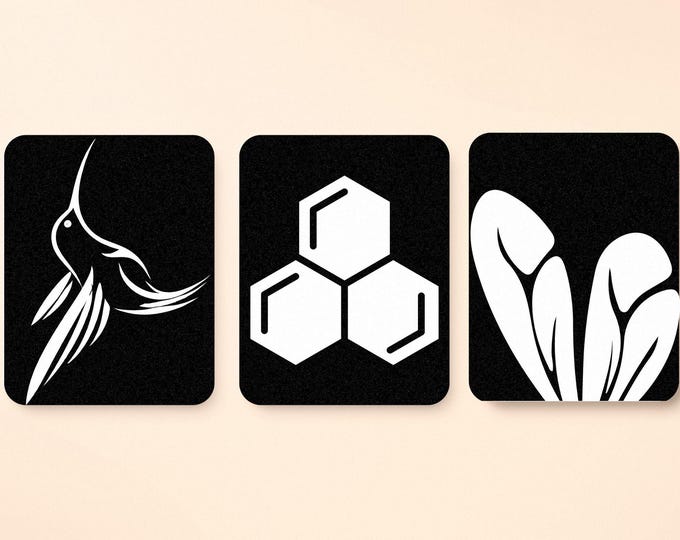 Backyard Wonders Series POLLINATORS - Visual Contrast Cards | Baby ...