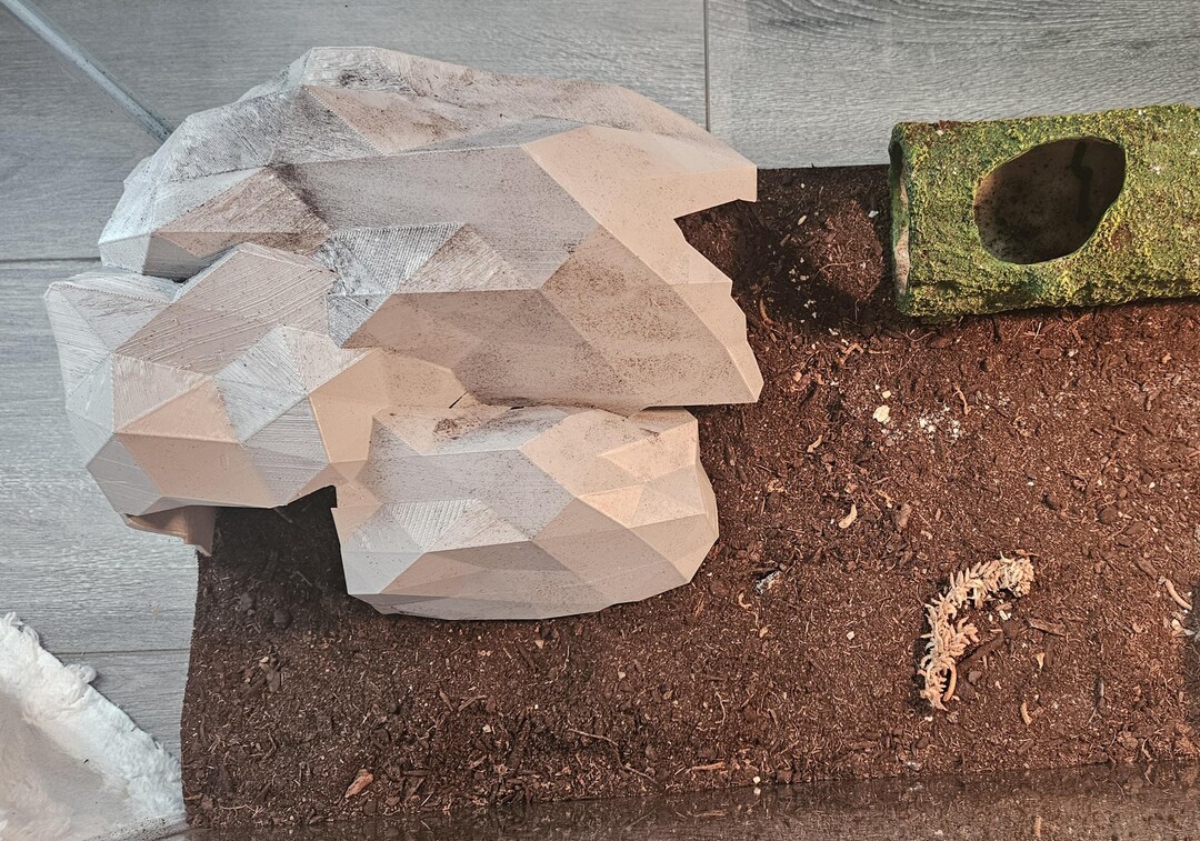 Customizable 3D Prints Reptile Hide and Cave Enclosures. Usable Decor ...