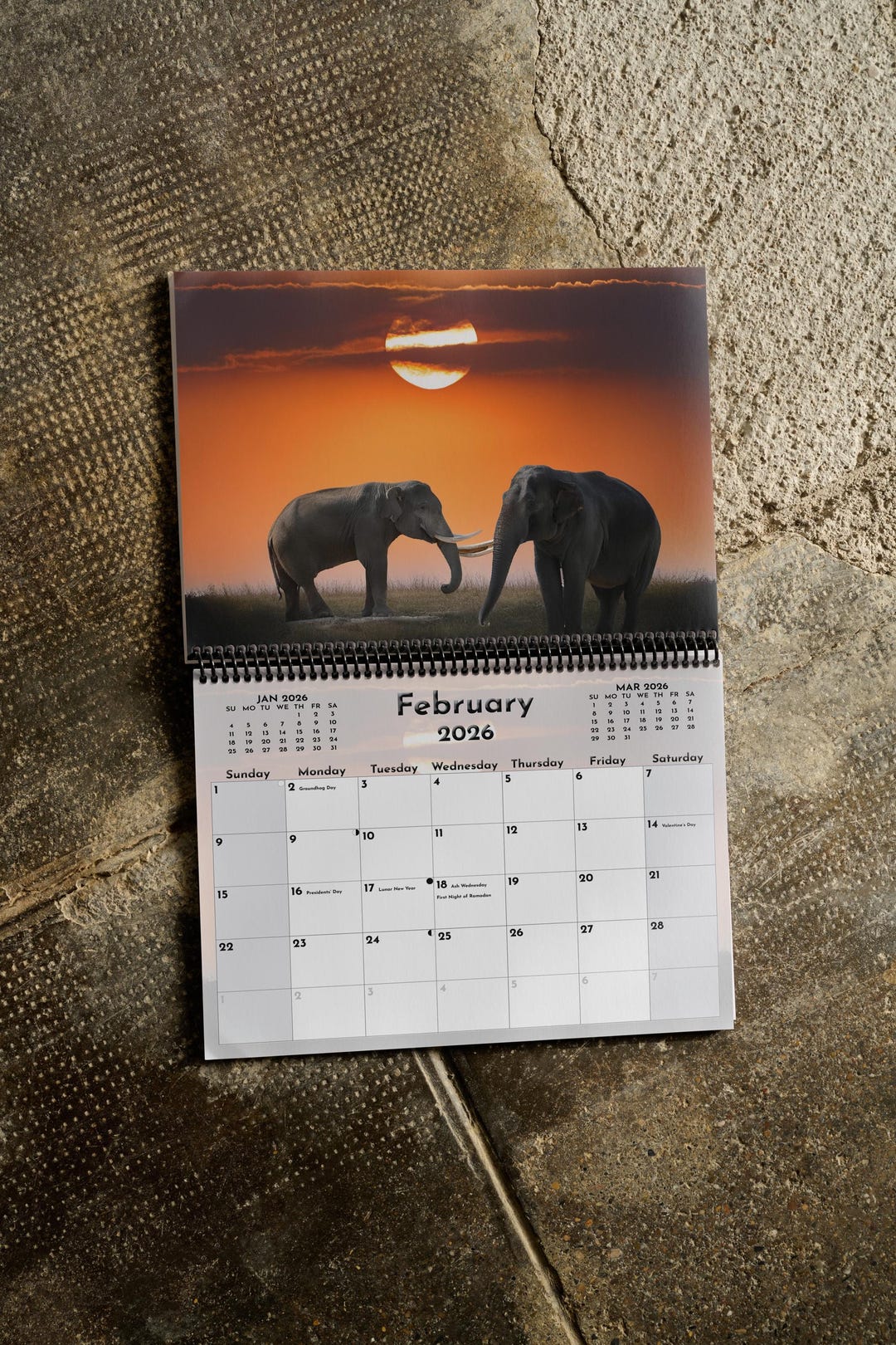 2026 Elephants Calendar With Bonus 2025 Months – Handmade Wildlife ...