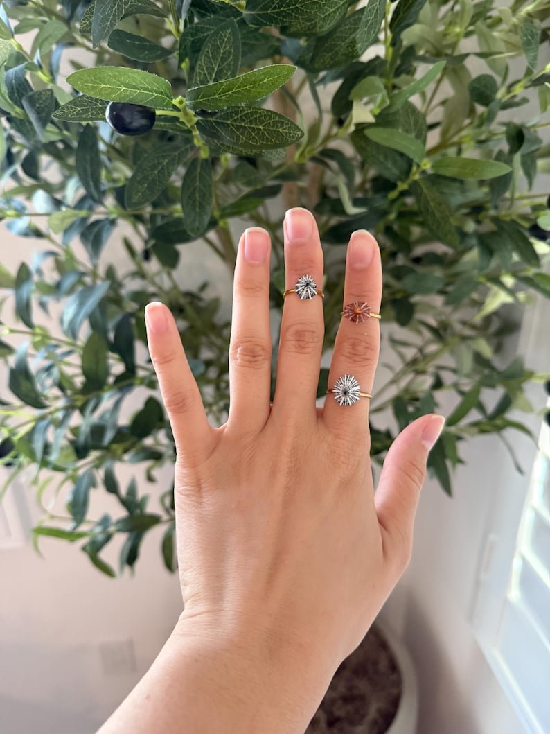 Opihi Shell Ring & Opihi Earrings – Gold/silver Adjustable Opihi Ring ...