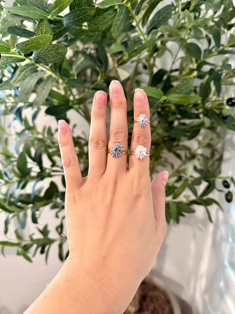 Opihi Shell Ring & Opihi Earrings – Gold/silver Adjustable Opihi Ring ...