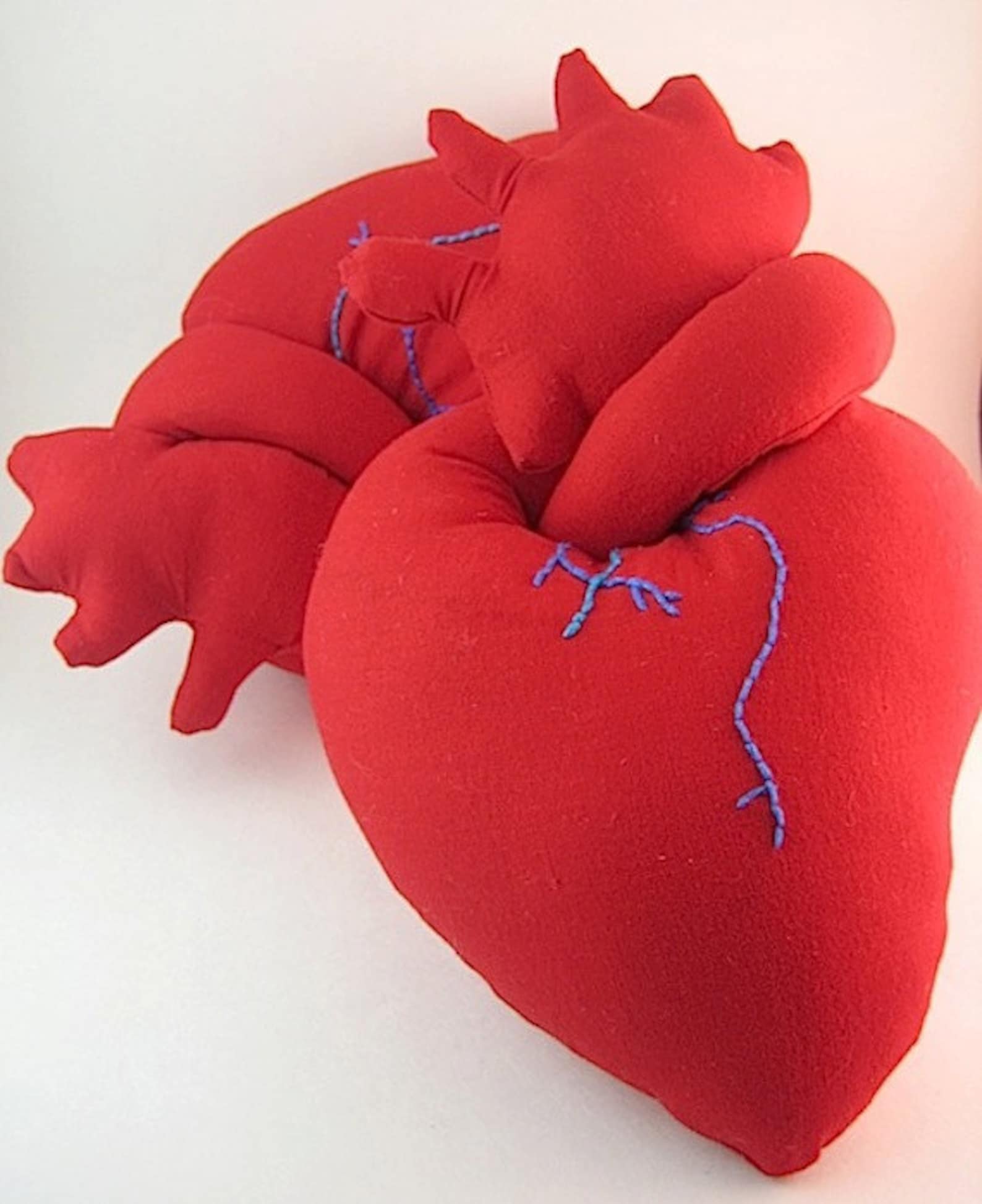 Handmade Red Cotton Anatomical Heart Plush – Embroidered Veins, Medical ...