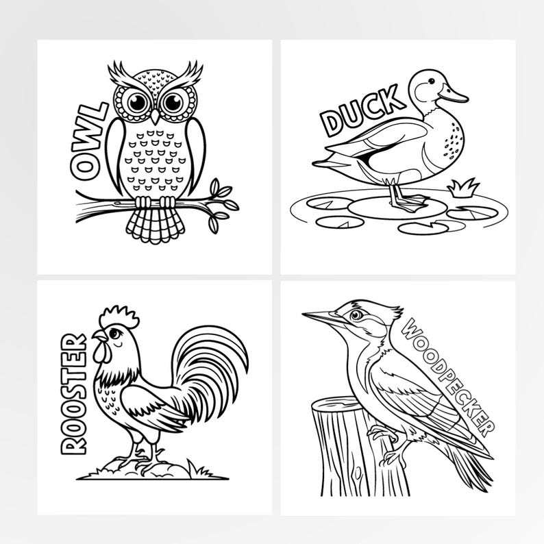 Bird Names Coloring Pages for Kids – 14 Printable Worksheets ...
