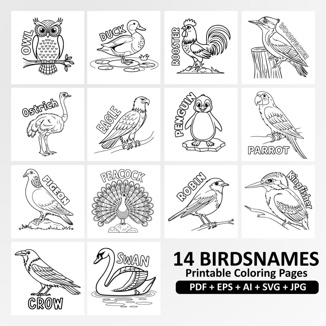 Bird Names Coloring Pages for Kids – 14 Printable Worksheets ...