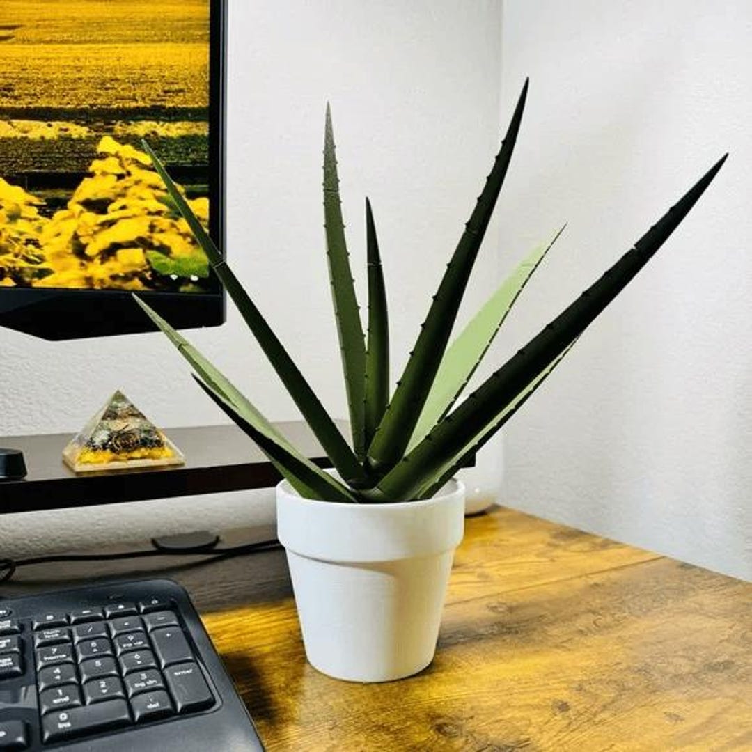 3D Printed Aloe Vera Pen Plant - Etsy