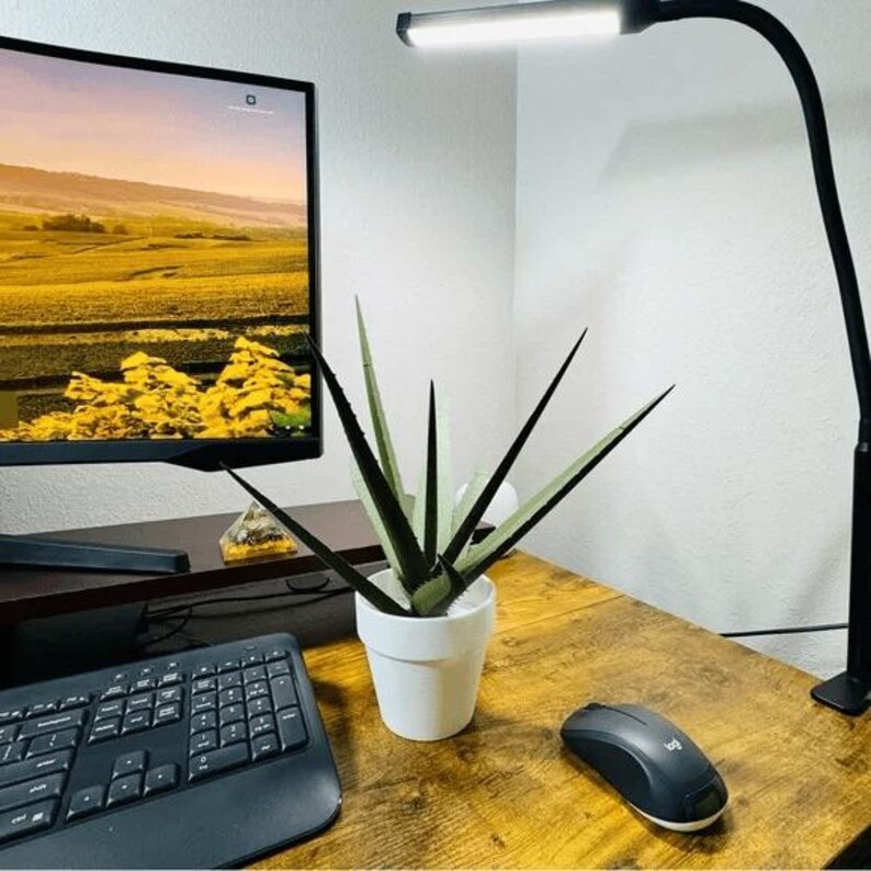3D Printed Aloe Vera Pen Plant - Etsy