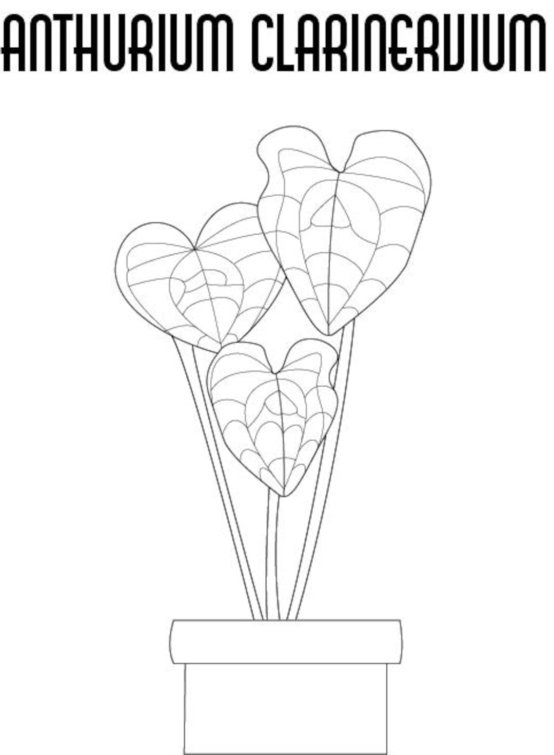Plant Coloring Page | Nature Coloring Book | Anthurium Clarinervium ...