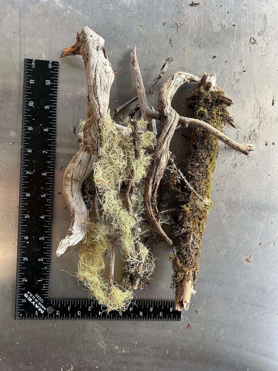 Natural Forest Stick & Moss Decor – 7.10 Oz Curated Woodland Bundle - Etsy