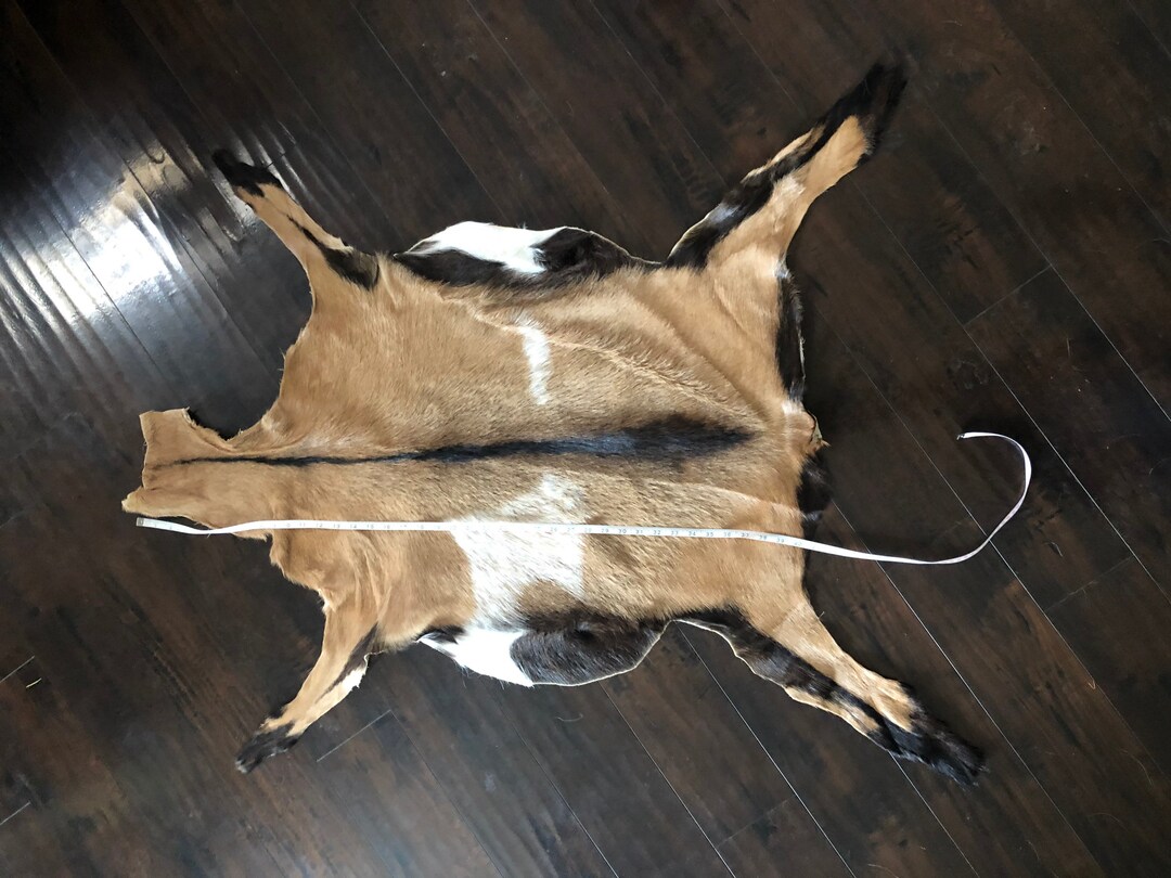 Beautiful Goat Hide - Etsy