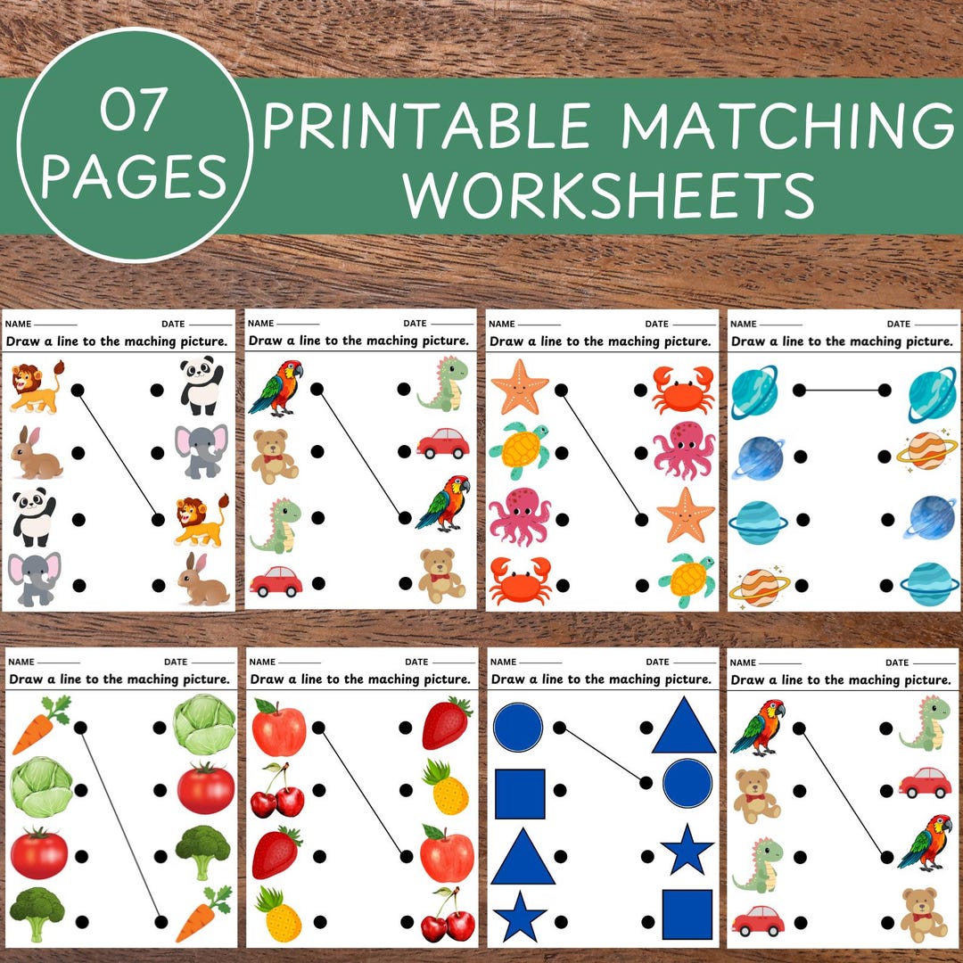 Printable Matching Worksheets, Busy Book Pages, Match the Picture ...