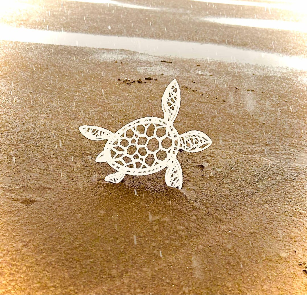 3D Printed Sea Turtle Wall Decor – Modern Line Art Ocean Theme - Etsy