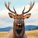 Elk Portrait – Majestic Wildlife Art Print, Nature-inspired Decor ...
