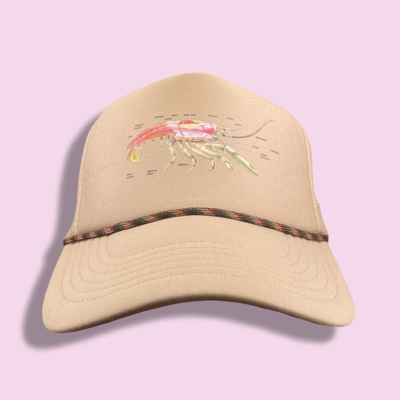 Pretty Cool Crawfish Anatomy Cross-section Tan Trucker Rope Hat - Etsy