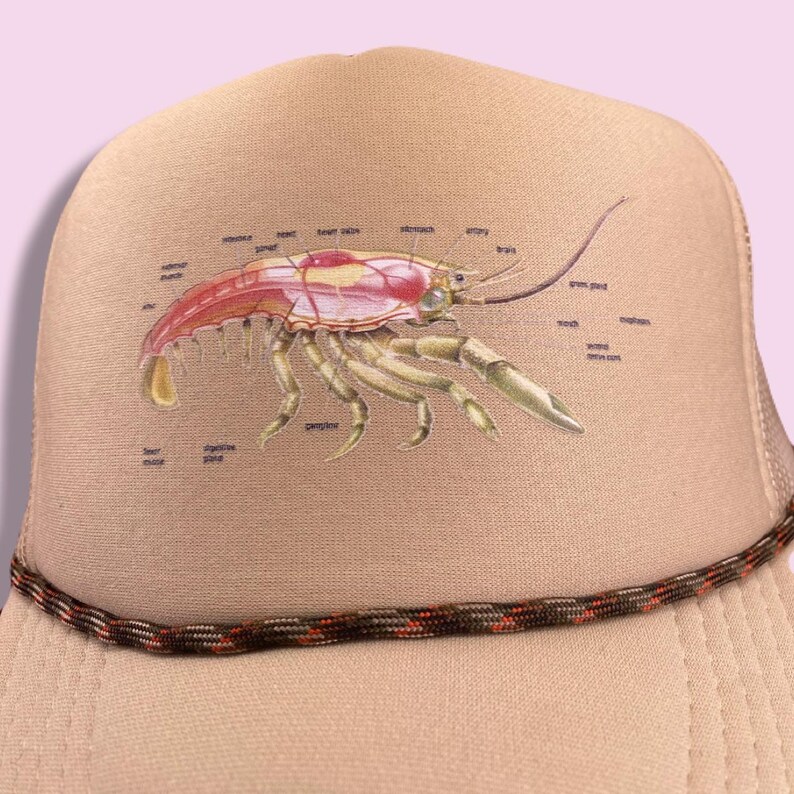 Pretty Cool Crawfish Anatomy Cross-section Tan Trucker Rope Hat - Etsy
