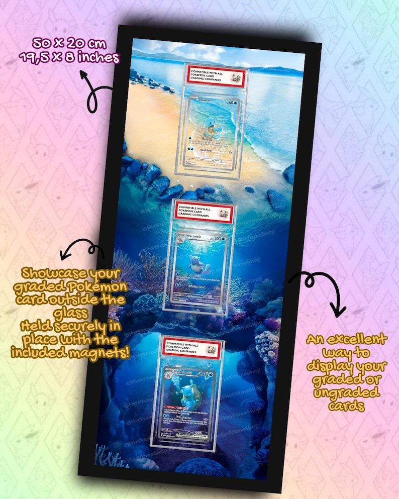 Squirtle, Wartortle, Blastoise From 151 Extended Pokémon Frame for RAW ...
