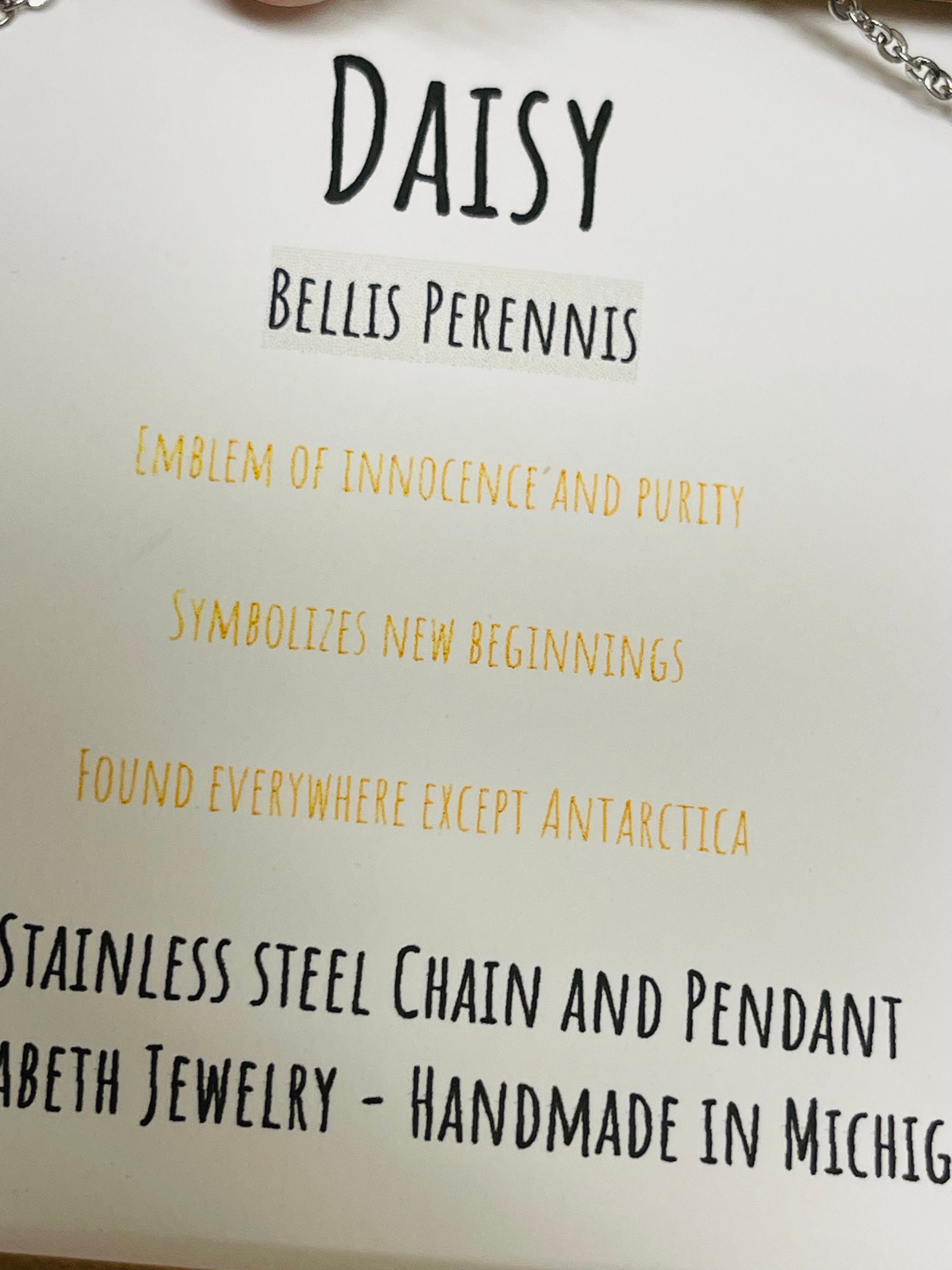 Gold Chain Necklace With Daisy Charm, Flower Charm Necklace, Giftable ...