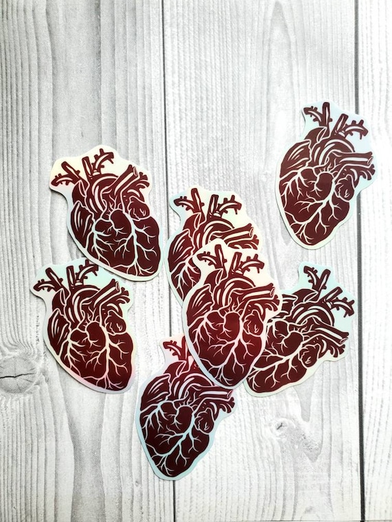 Holographic Anatomical Heart Sticker Pack Valentine's Day - Etsy
