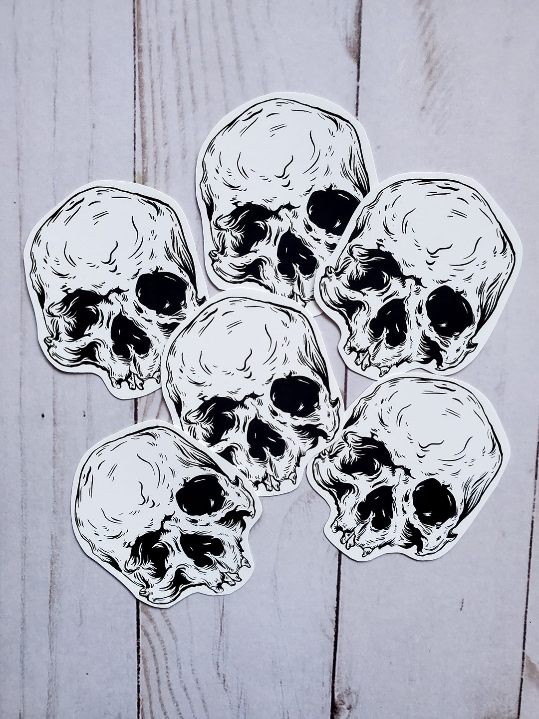 Skull Sticker Pack Black and White Anatomical Art Horror Spooky Season ...