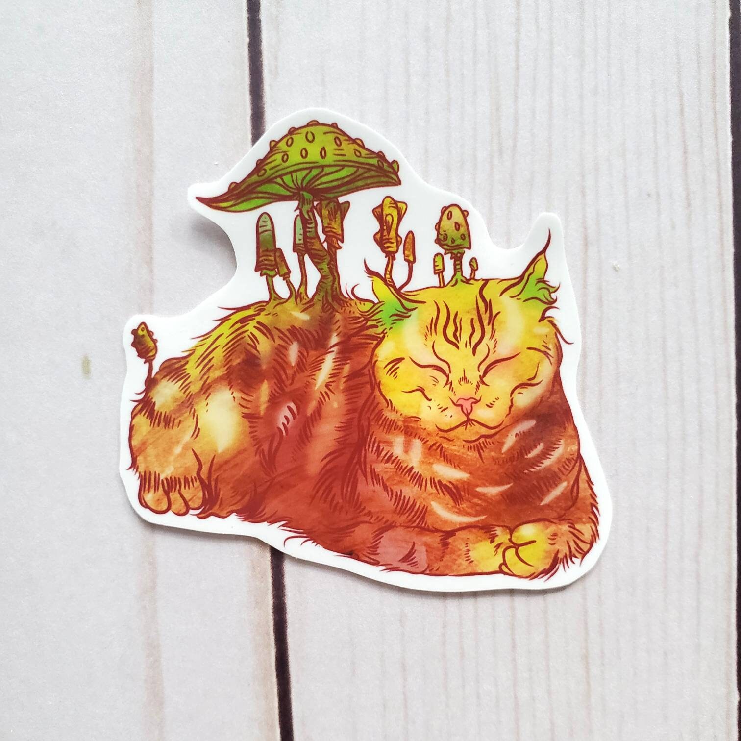 Mushroom Cat Vinyl Sticker Tabby Mycology Shroom Fantasy | Etsy