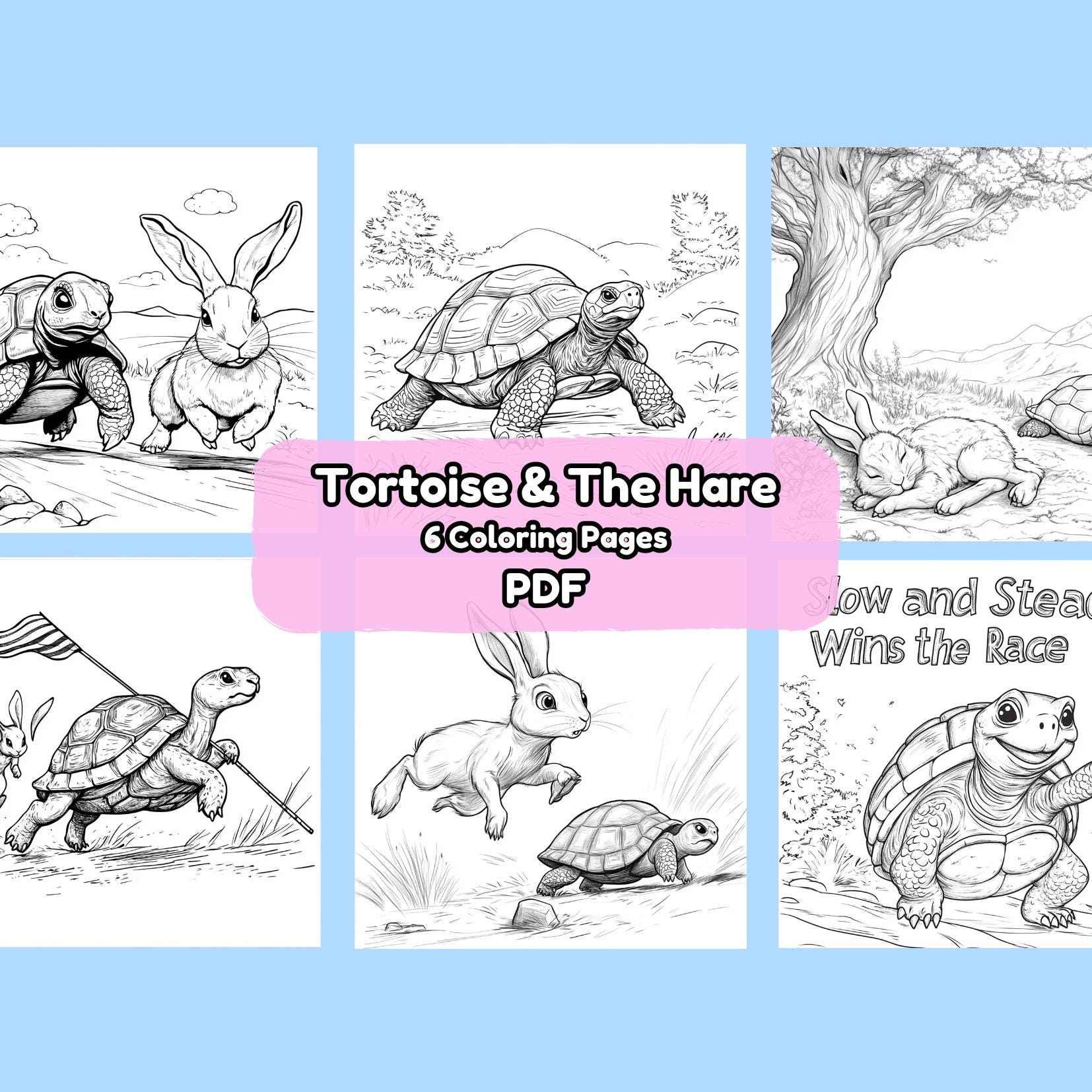 The Tortoise and the Hare Coloring Pages – 6-page Printable Storybook ...