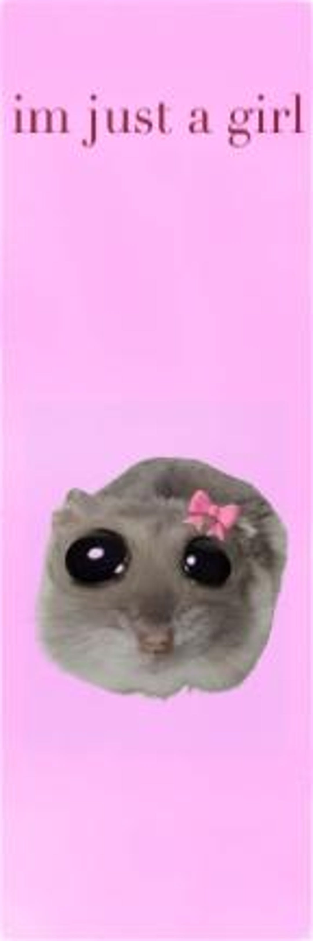 Printable Hamster Bookmark-png FILE - Etsy