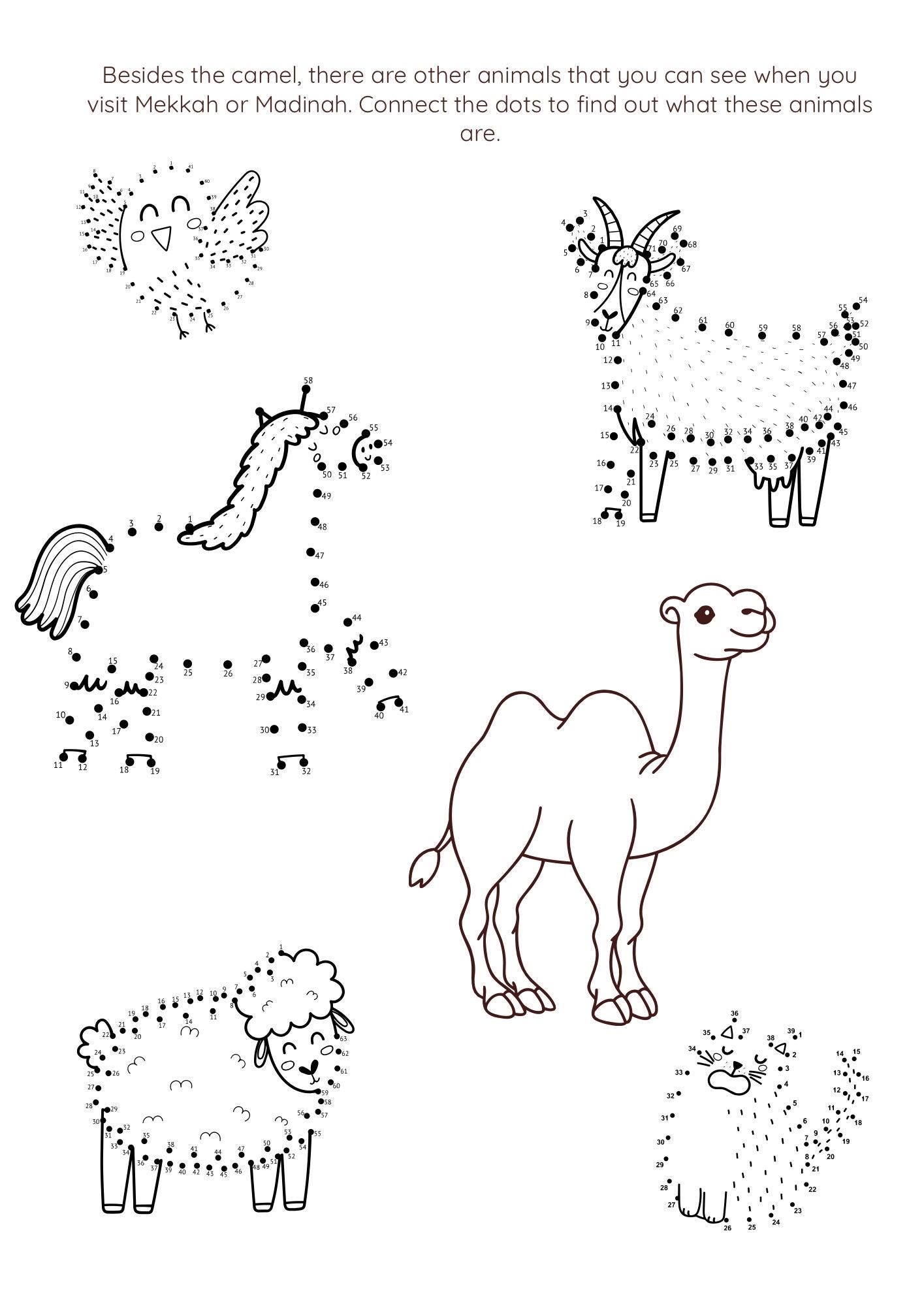 Islamic Activity Worksheets for Muslim Kids: Kaabah, Masjid (PDF) - Etsy