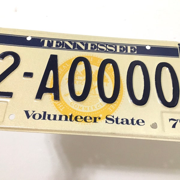 Fire License Plate Topper - Etsy