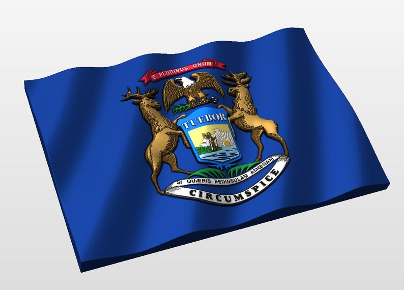 3D Wavy Michigan State Flag (pattern 2) CNC Files | Stl | 3D Model ...