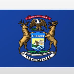 3D Michigan State Flag CNC Files | Stl | 3D Model | Detroit | Lansing ...