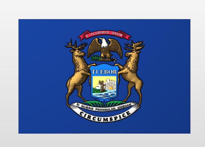 3D Michigan State Flag CNC Files | Stl | 3D Model | Detroit | Lansing ...