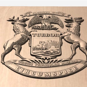 3D Michigan State Flag CNC Files | Stl | 3D Model | Detroit | Lansing ...