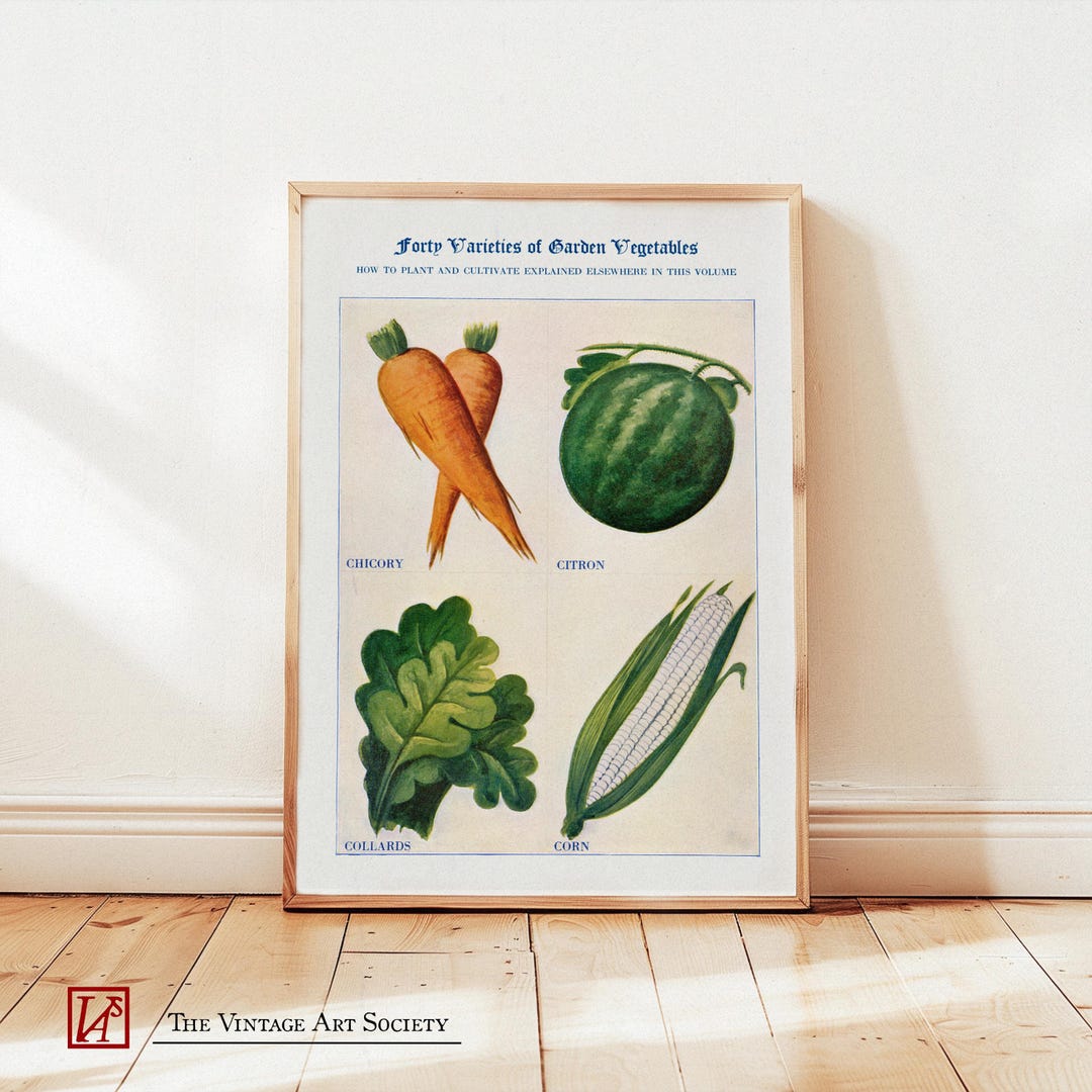 Vintage Garden Vegetables Poster: Illustrated Retro Kitchen Art ...