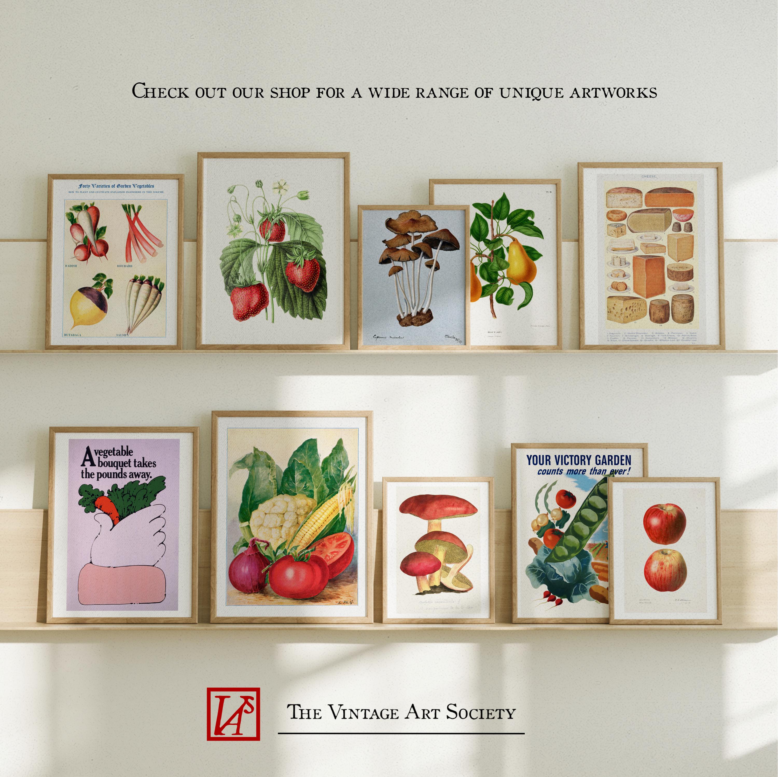 Vintage Botanical Vegetable Chart Poster: Kale, Cabbage, Broccoli ...