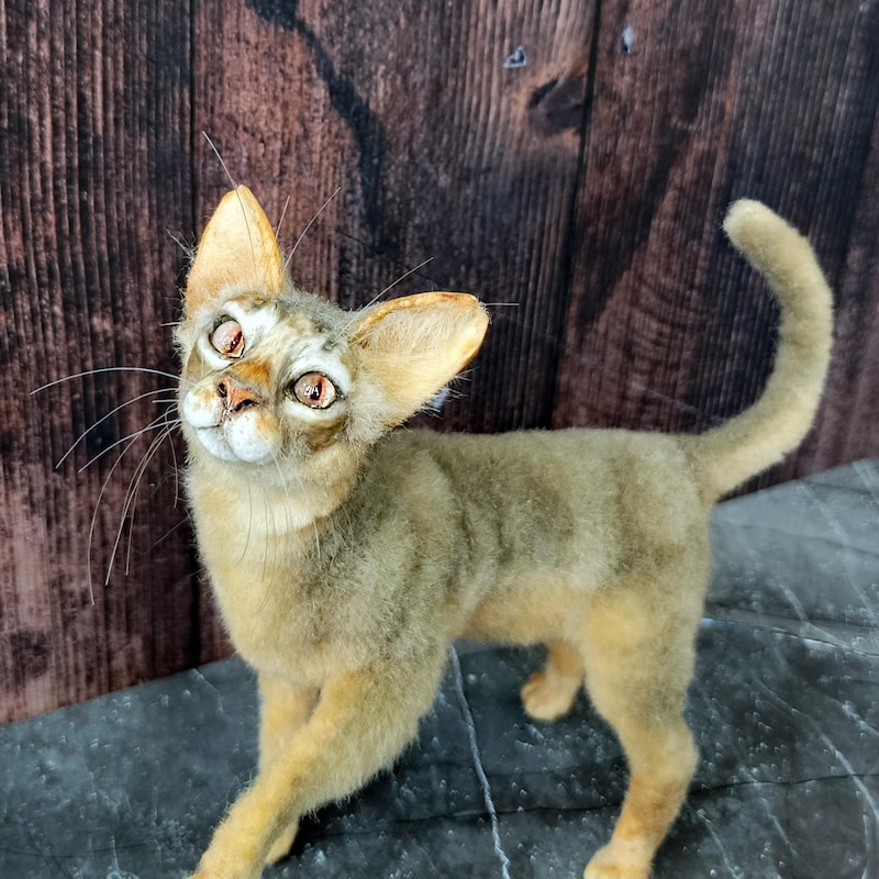 Cat Doll - Etsy